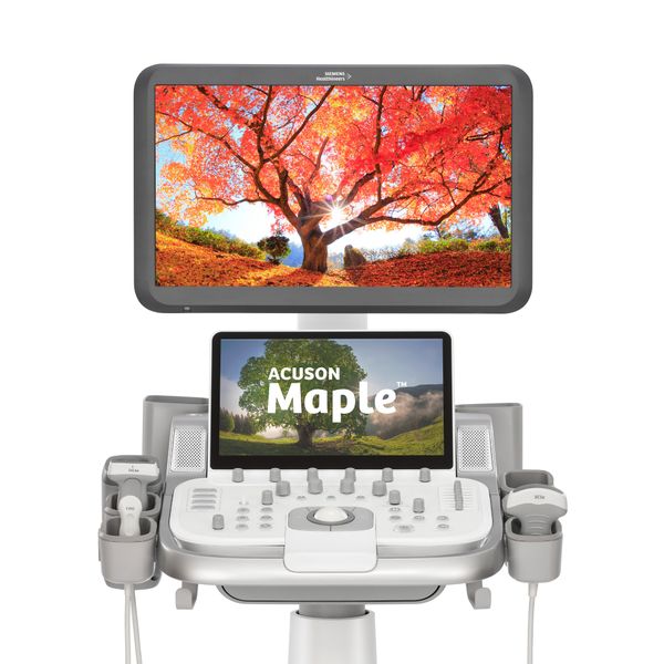 ACUSON Maple – AN THỊNH MEDICAL