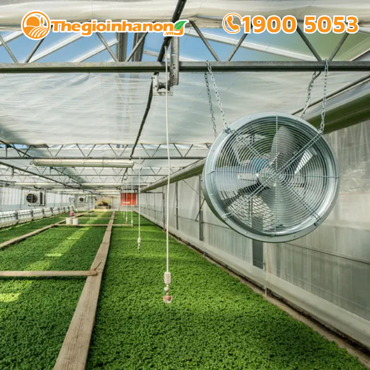 Quạt đối lưu không khí trong nhà màng FF400 – Thế Giới Nhà Nông