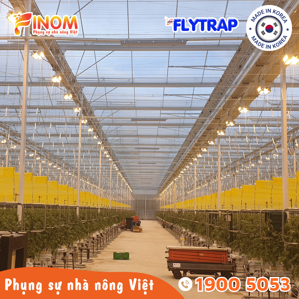 BẪY DÍNH CÔN TRÙNG FLYTRAP - DẠNG CUỘN (15cm*20m) – Thế Giới Nhà Nông