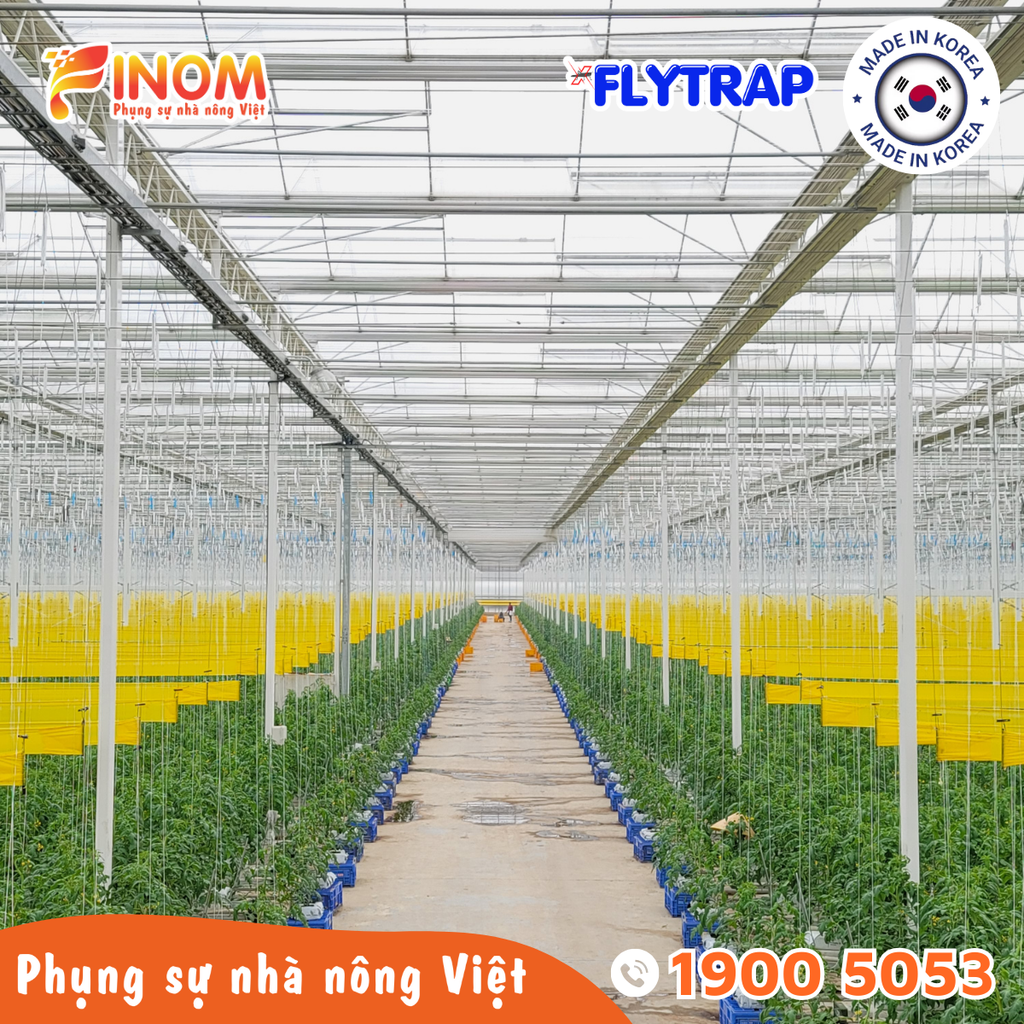 BẪY DÍNH CÔN TRÙNG FLYTRAP - DẠNG CUỘN (15cm*20m) – Thế Giới Nhà Nông