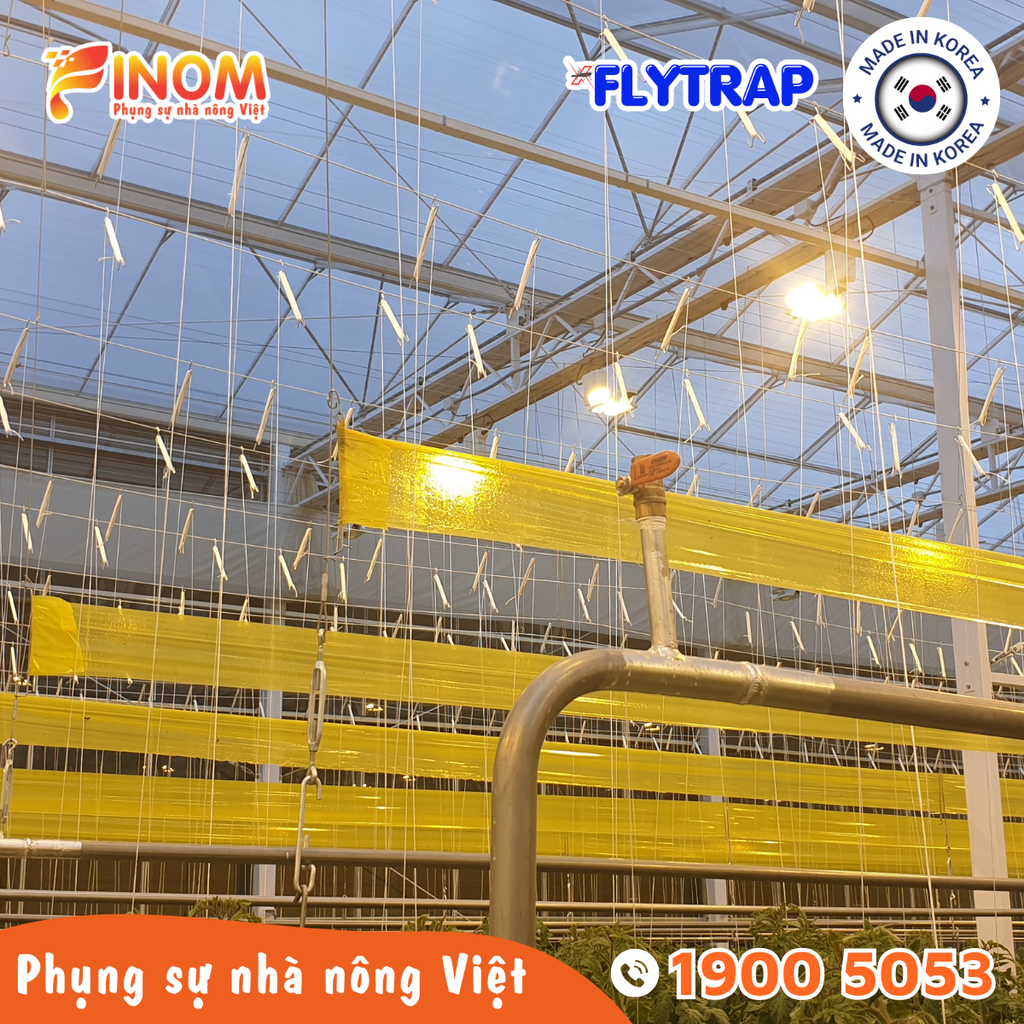 BẪY DÍNH CÔN TRÙNG FLYTRAP - DẠNG CUỘN (15cm*20m) – Thế Giới Nhà Nông