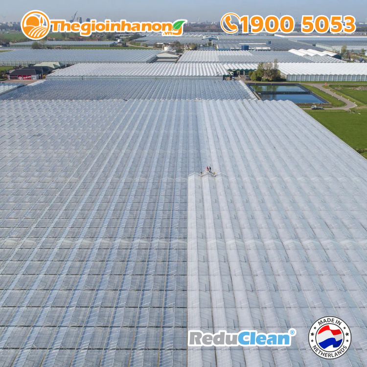 Dung dịch rửa sơn chống nóng chuyên dụng ReduClean – Thế Giới Nhà Nông