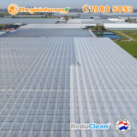 Dung dịch rửa sơn chống nóng chuyên dụng ReduClean – Thế Giới Nhà Nông