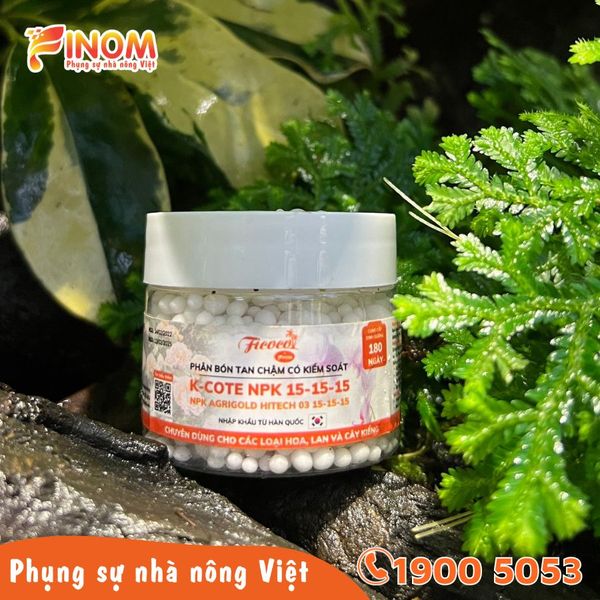 PHÂN TAN CHẬM K-COTE 15-15-15+TE - 50G – Thế Giới Nhà Nông