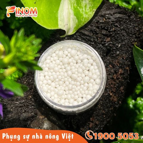 PHÂN TAN CHẬM K-COTE 15-15-15+TE - 50G – Thế Giới Nhà Nông