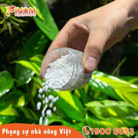 PHÂN TAN CHẬM K-COTE 15-15-15+TE - 50G – Thế Giới Nhà Nông