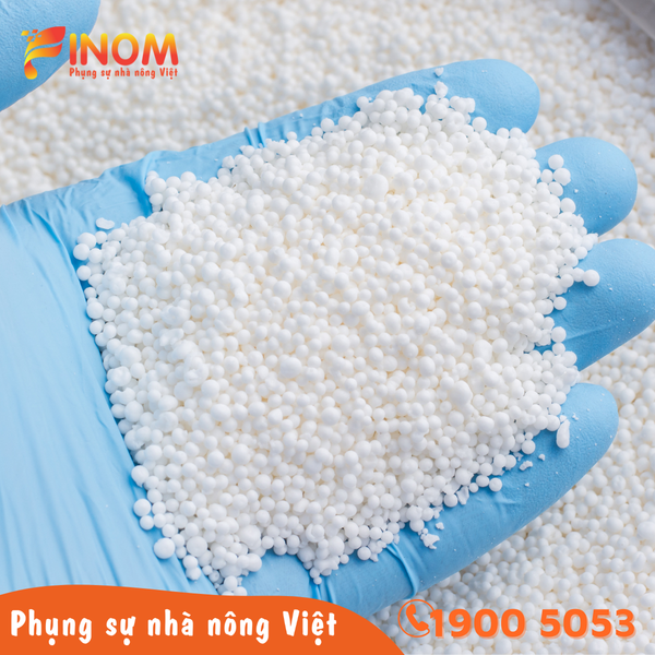 PHÂN TAN CHẬM K-COTE 15-15-15+TE - 20KG – Thế Giới Nhà Nông