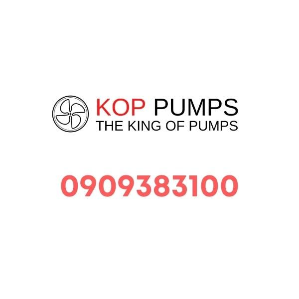 Air Valve E1a Av Kit Phụ Tùng Versa Matic Chính Hãng Vua Máy Bơm