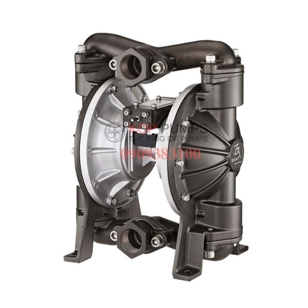 Bơm màng khí nén Đài Loan TDS DS20-AAT-OOBO-02 – Vua Máy Bơm