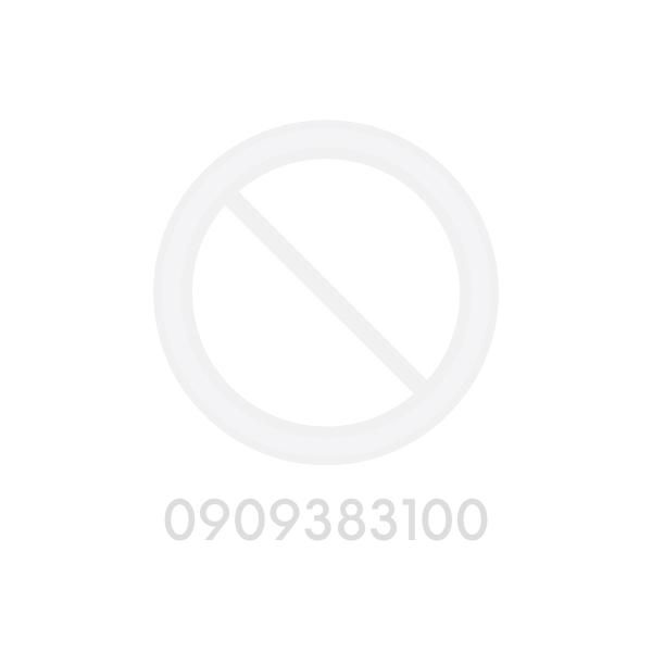 Four Inch Pumps – Vua Máy Bơm