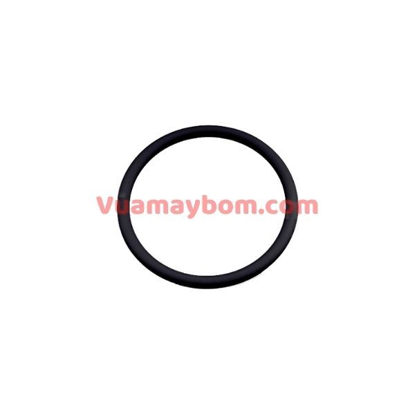 O-Rings G438-Phụ tùng Blagdon chính hãng – Vua Máy Bơm