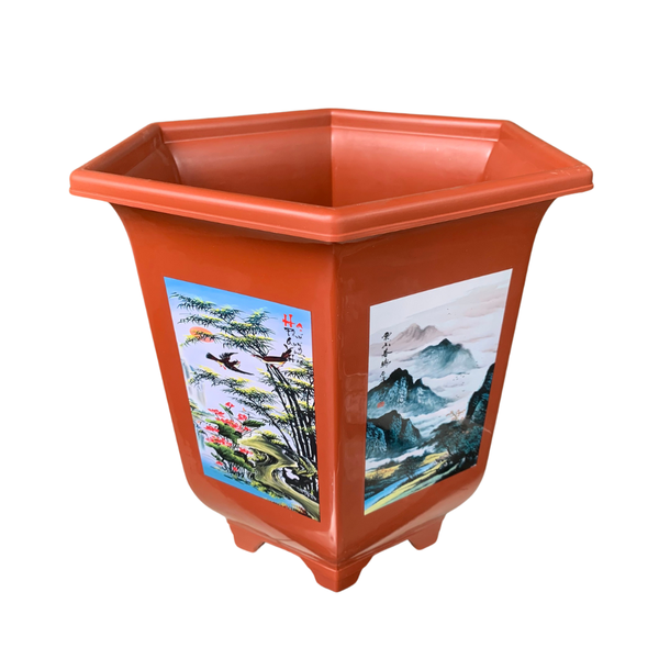 Chậu lục giác in hoa tiếc trồng hoa kiểng (DM)