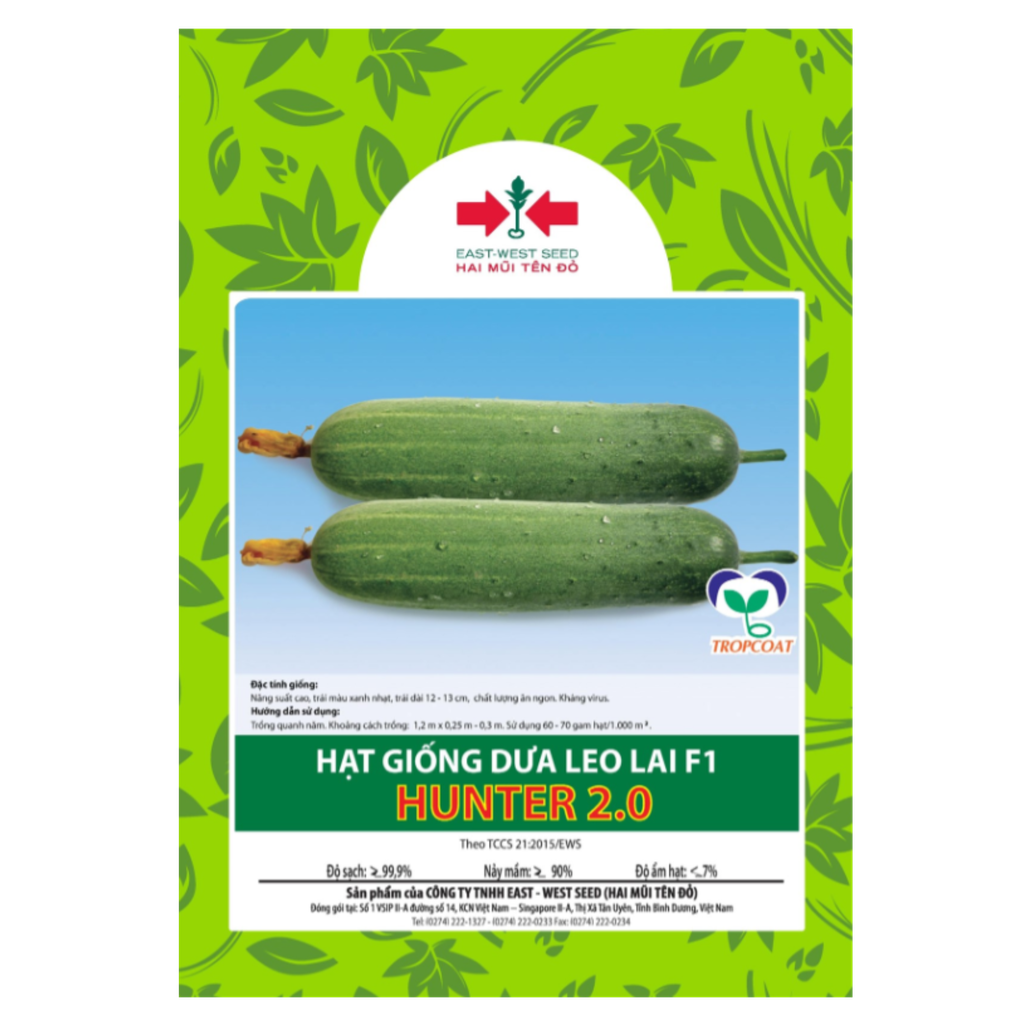 Hạt giống Dưa leo lai F1 Hunter 2.0 East-West Seed (Hai Mũi Tên Đỏ)