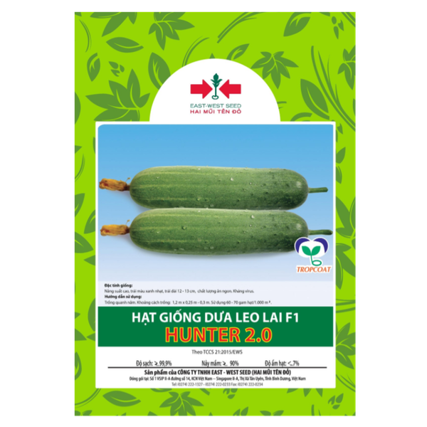 Hạt giống Dưa leo lai F1 Hunter 2.0 East-West Seed (Hai Mũi Tên Đỏ)