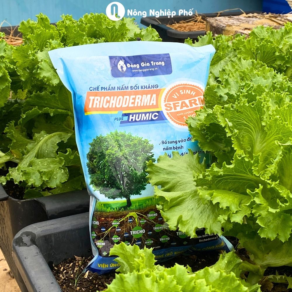 Chế phẩm Trichoderma Plus SFARM (1kg) – Nấm đối kháng, cải tạo đất