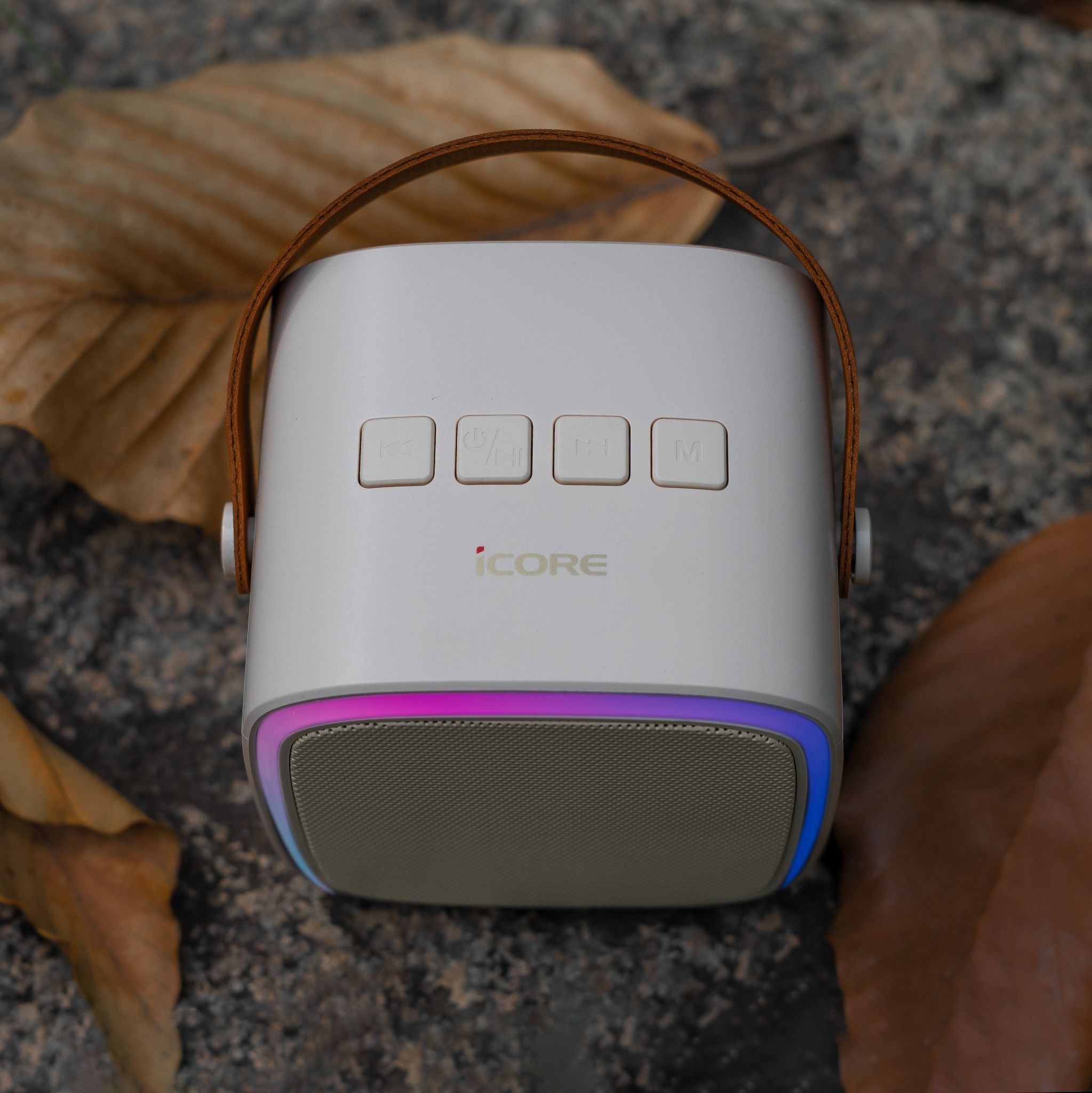 Loa Karaoke iCore ISM02 – Nhỏ Gọn, Chất Âm Đỉnh Cao, Micro Không Dây ...