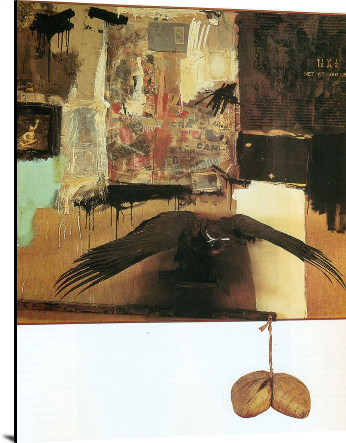 Robert Rauschenberg Canyon