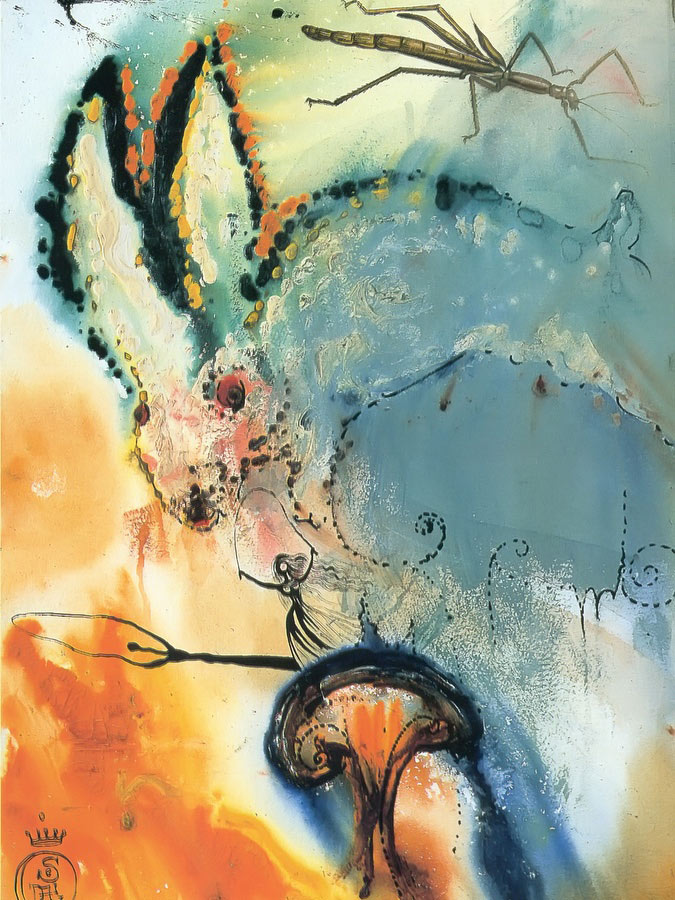 Alice In Wonderland Illustrations By Salvador Dali
