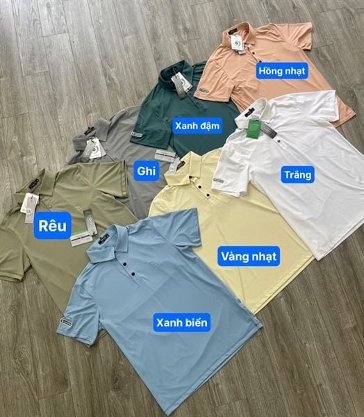 Polo Hazzy - 2024 – JC STORE