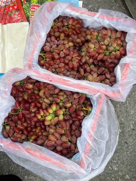 NHO RUBY – Công ty Cổ phần Đầu tư Prolife