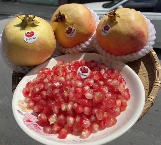 Lựu Rubibi size 8 – Công ty Cổ phần Đầu tư Prolife