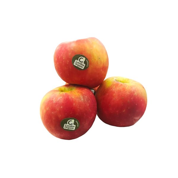 French Organic Candine Apple Size 100 500G – Nam An Market