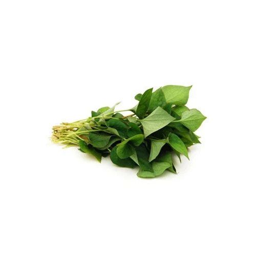 Organic Framing Fish Mint 50G – Nam An Market