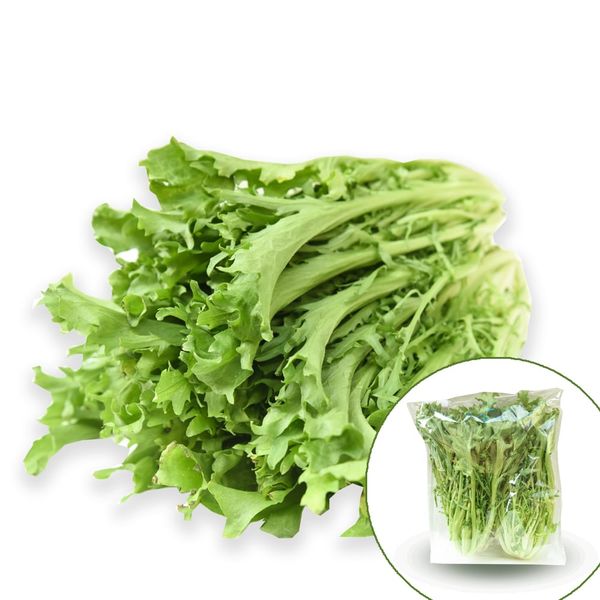 Lettuce Frissee 250G – Nam An Market