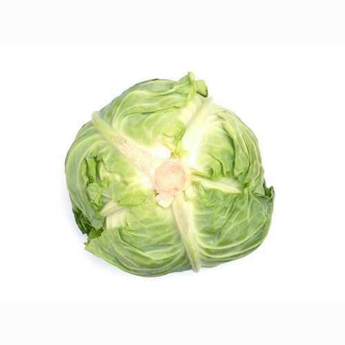White Cabbage Hopeland 500G – Nam An Market