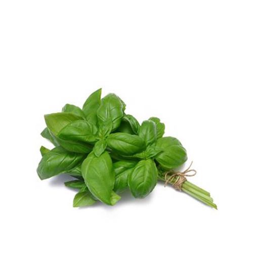 Basil (G) 50G – Nam An Market