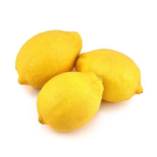 Egyptian Lemon Ant Farm 500G – Nam An Market