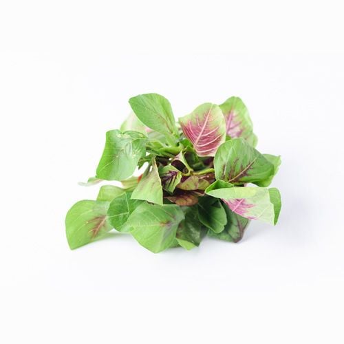 Baby Amaranth Viet An 250G – Nam An Market
