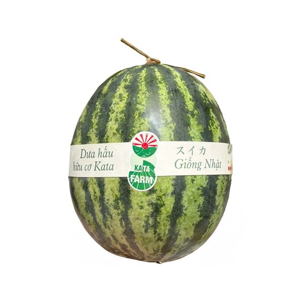 Org Water Melon Kata Farm – Nam An Market