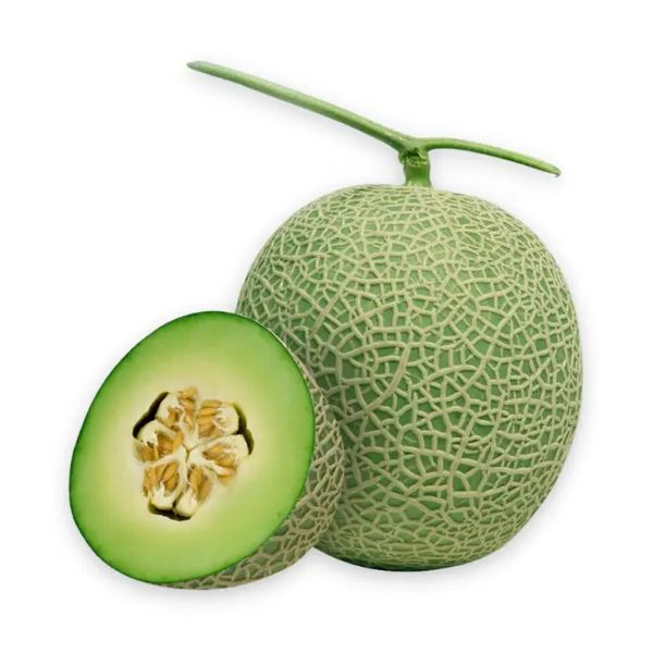 Ichiba Melon 1Kg – Nam An Market