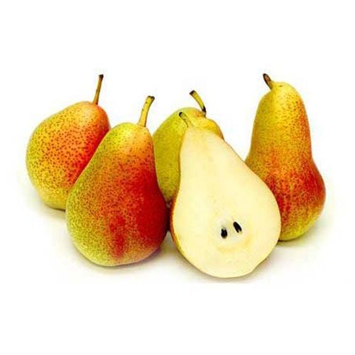 Lê Nam Phi 500G – Nam An Market