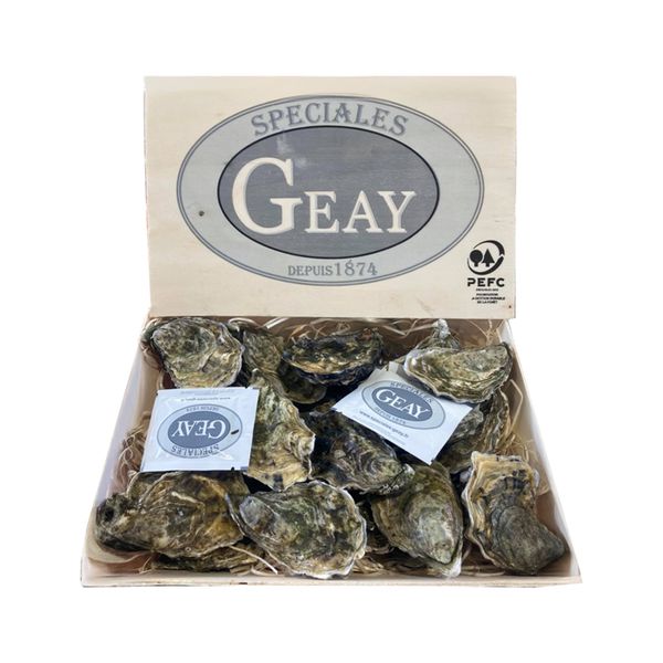 France Oysters Geay No 2 24Pcs/Box – Nam An Market