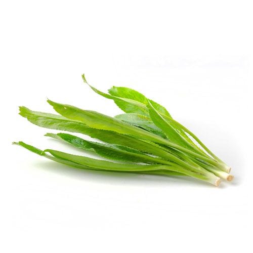 Culantro 50G – Nam An Market