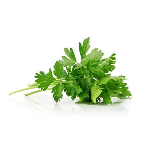 Ngò Rí 50G – Nam An Market