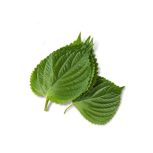 Green Perilla 50G – Nam An Market