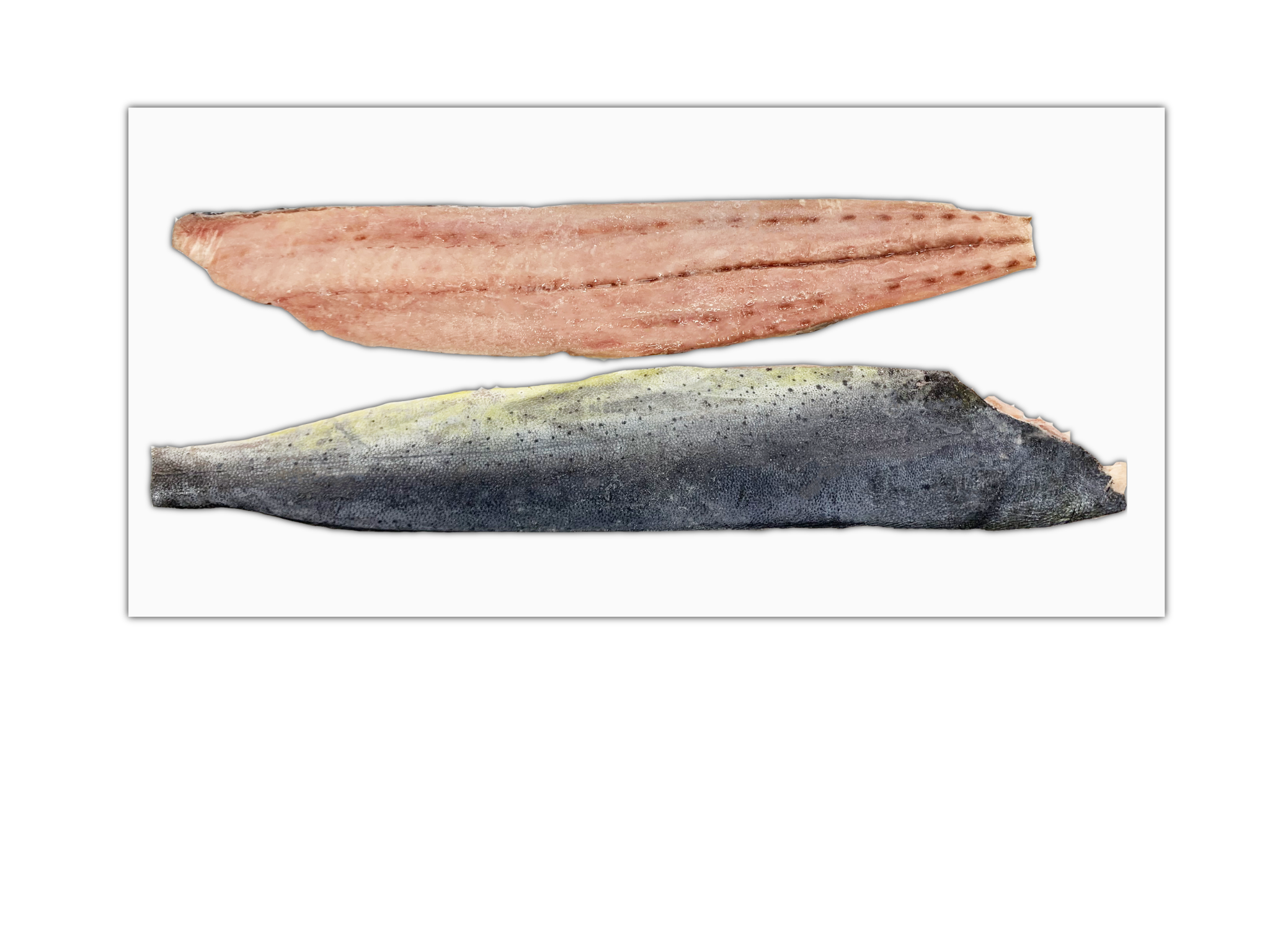 MAHI MAHI FILLETS SKIN ON – HMP Khánh Hòa