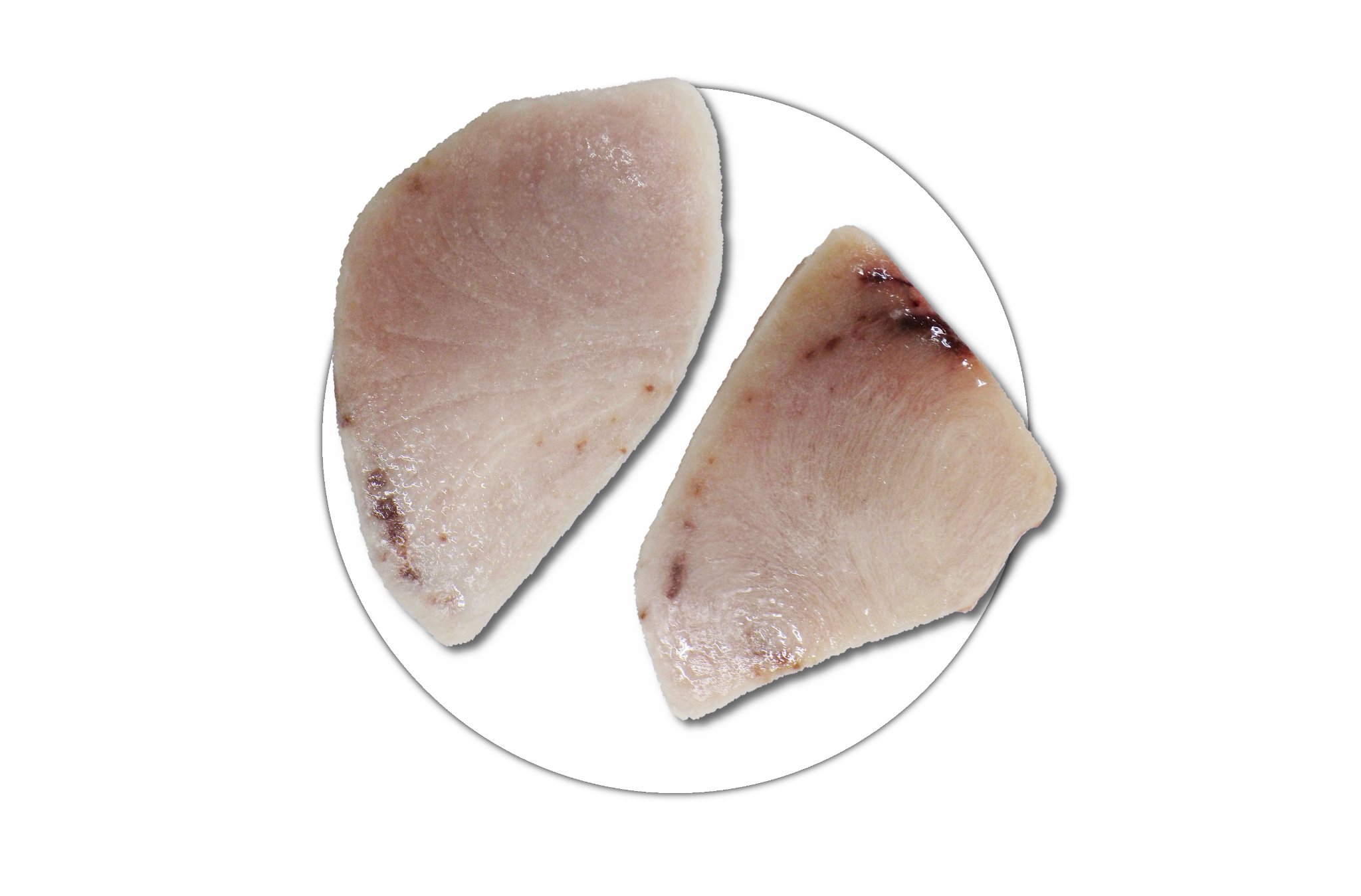 FROZEN SWORDFISH STEAK – HMP Khánh Hòa
