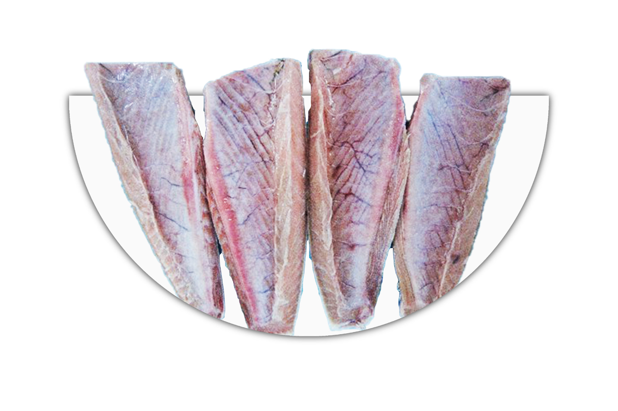 FROZEN TUNA BELLY CO TREATED/ NON TREATED – HMP Khánh Hòa