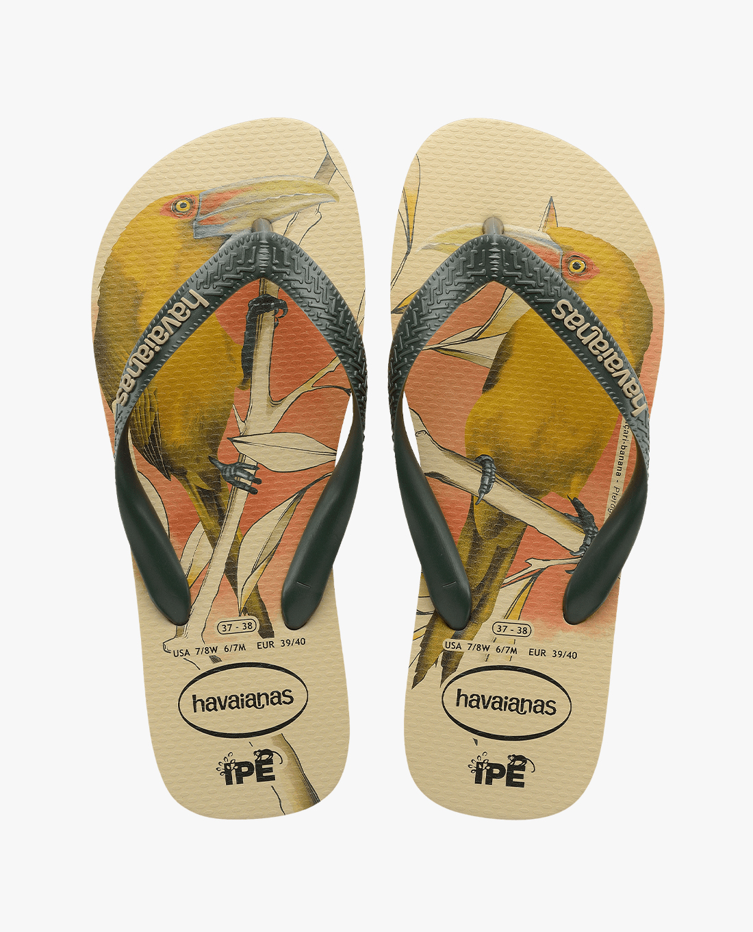 HAVAIANAS - Dép nam Ipê