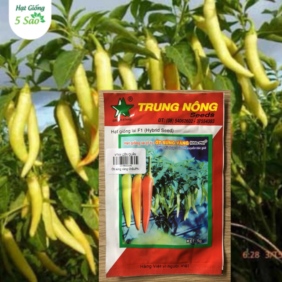 Ớt Sừng Vàng ( Châu Phi ) - Trung Nông hatgiong5sao