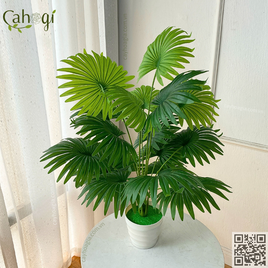 Cây Giả - Cây Cọ Lá Nhựa 18 Lá 75 Cm – CaHoGi
