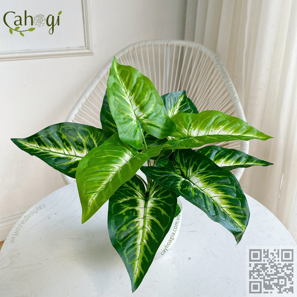 Cây Giả - Cây Môn Xanh Lòng Trắng 9 Lá 32 Cm – CaHoGi