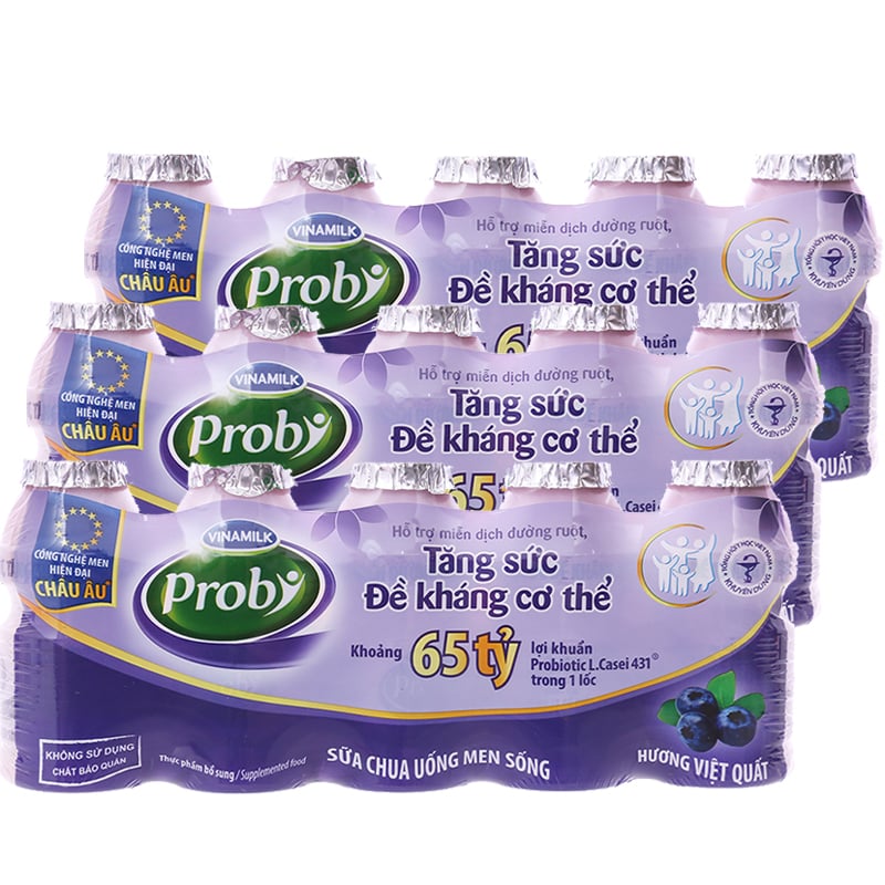 Sữa chua uống Vinamilk Probi hương việt quất lốc 6 chai x 65ml – Chuỗi ...