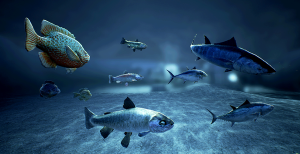 Legendary Fishing – xGAMESHOP-Retail Store Games