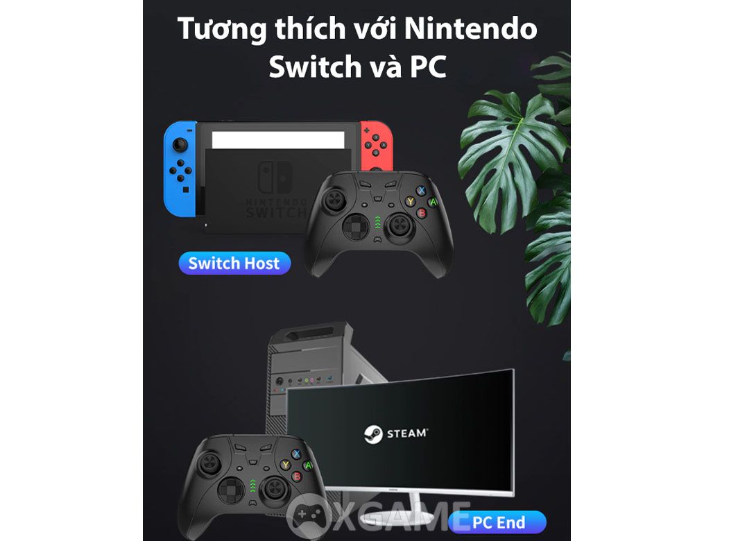Tay Game Elite Wireless Controller Edition – xGAMESHOP-Retail Store Games