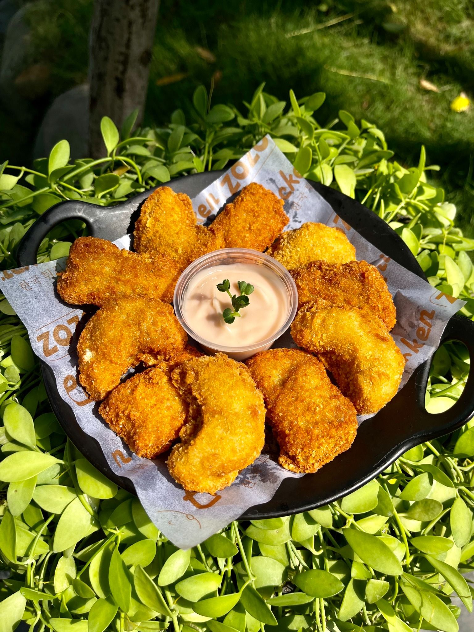 Gà funny chips Chicken Zozo 350g – Thực Phẩm Nhập Khẩu PCI